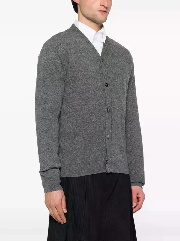 Comme Des Garçons V-neck Cardigan