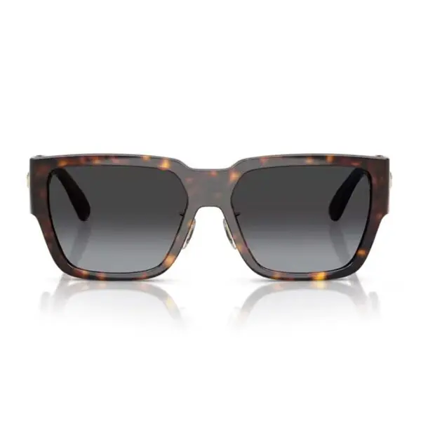 Versace Medusa Biggie 0ve4483d Sunglasses - Brown