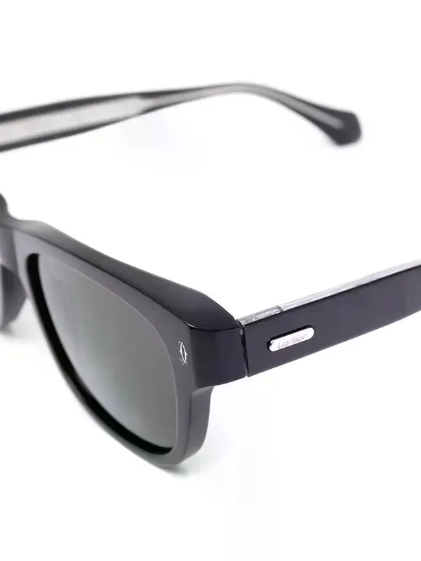 Cartier Ct0277s D-frame Sunglasses
