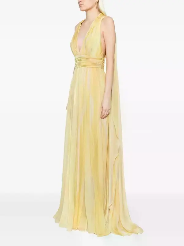 Elie Saab Printed Dress