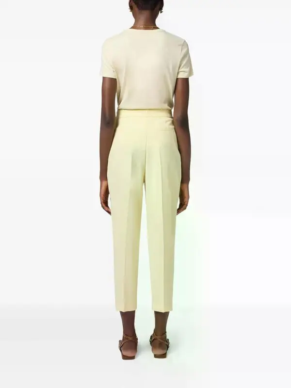 Elisabetta Franchi Pleat-detailed Trousers