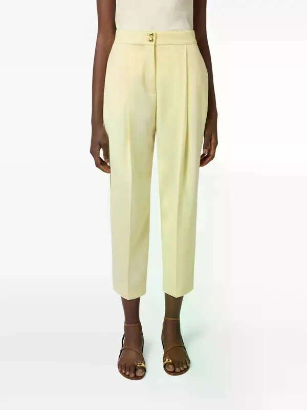 Elisabetta Franchi Pleat-detailed Trousers