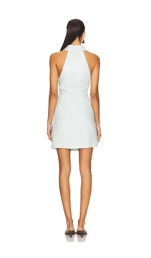 HEVRON Lauren Dress