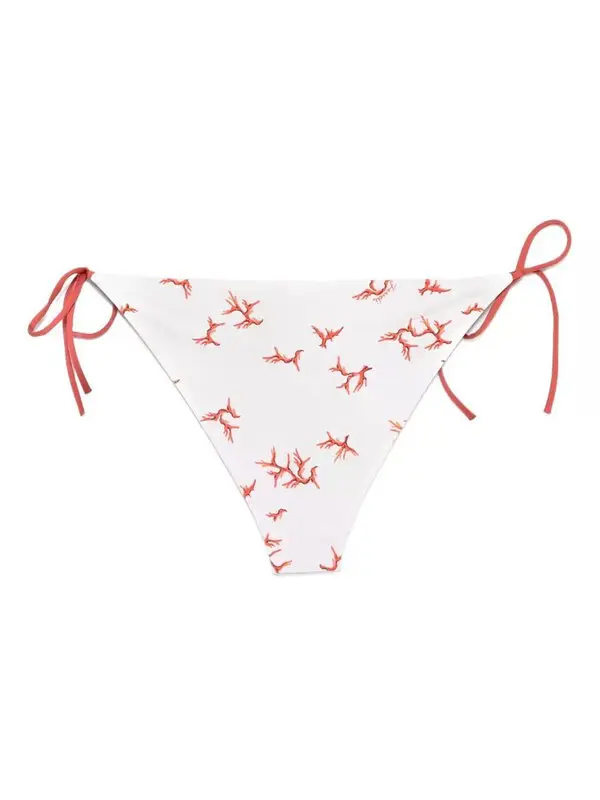 Fendi Coral-print Bikini Bottoms