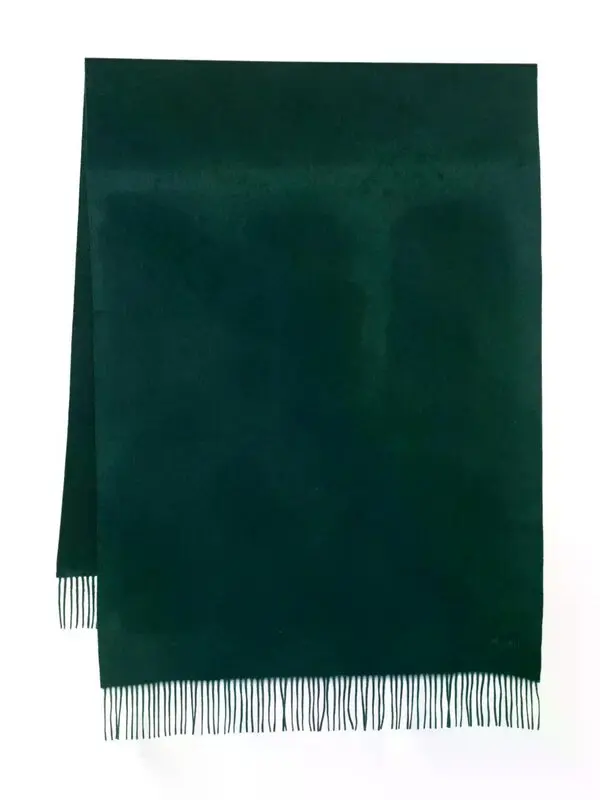 Max Mara Fringed Cashmere Scarf - Green