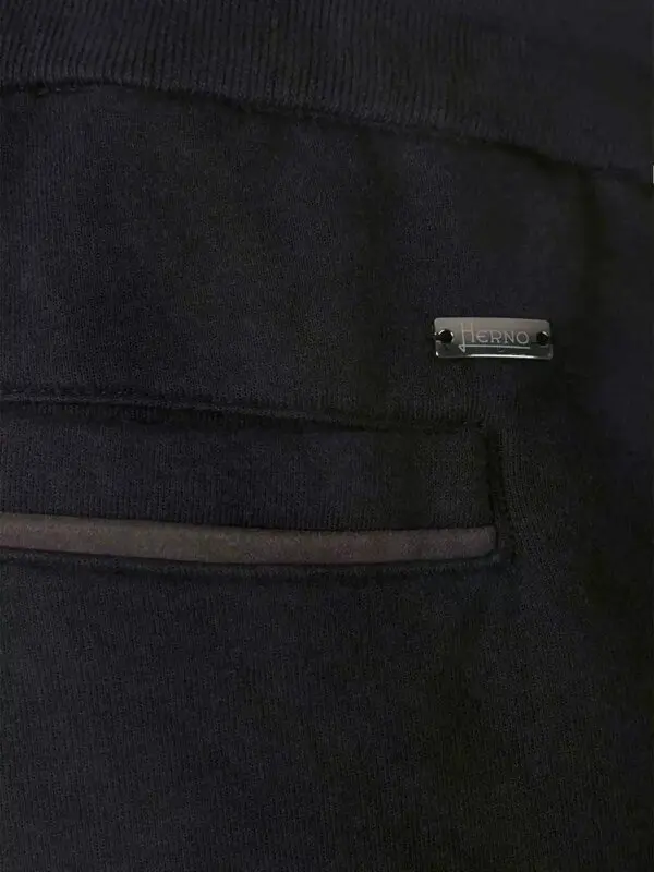 Herno Pleat-detailed Trousers - Blue