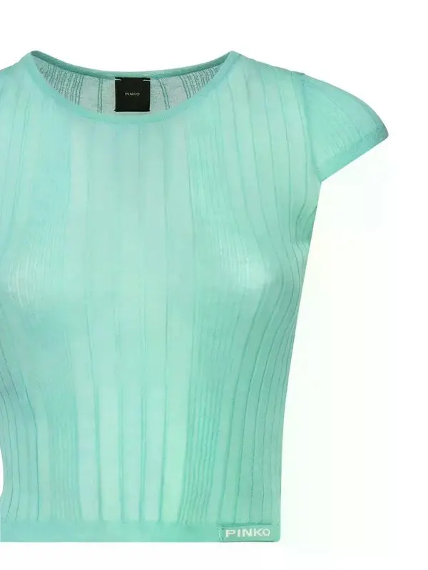 Pinko Ribbed Knit Top - Blue