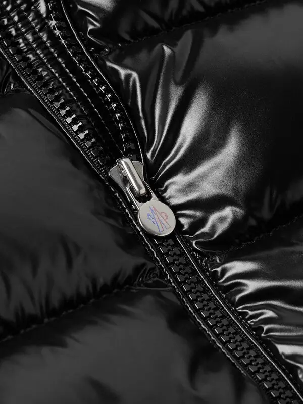Moncler Logo-appliquéd Quilted Shell Hooded Down Jacket - Black