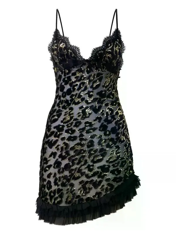 Roberto Cavalli Lace-trimmed Leopard-pattern Mini Dress