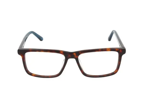 Calvin Klein Eyeglasses - Tortoise