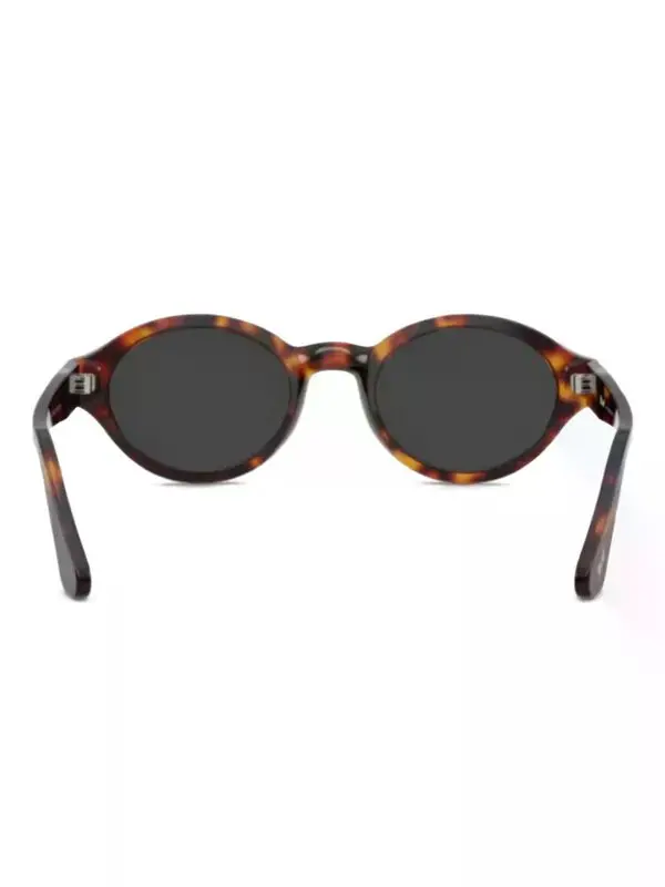 Persol Loris Tortoiseshell Round-frame Sunglasses