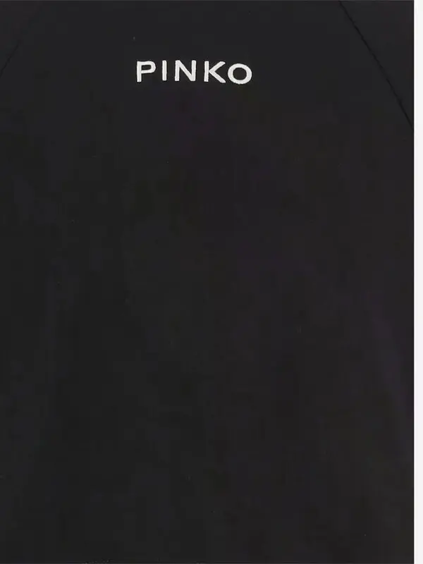 Pinko Logo-embroidered Hoodie