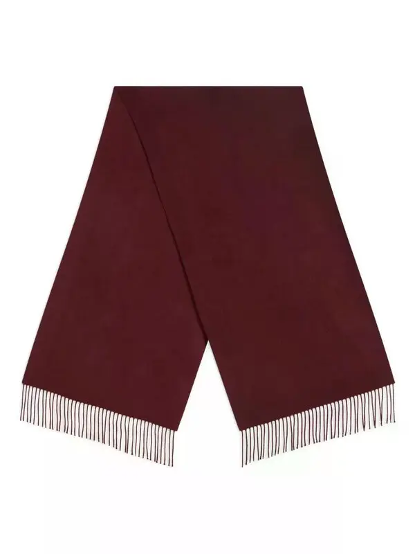Etro Fringed-edge Scarf - Red
