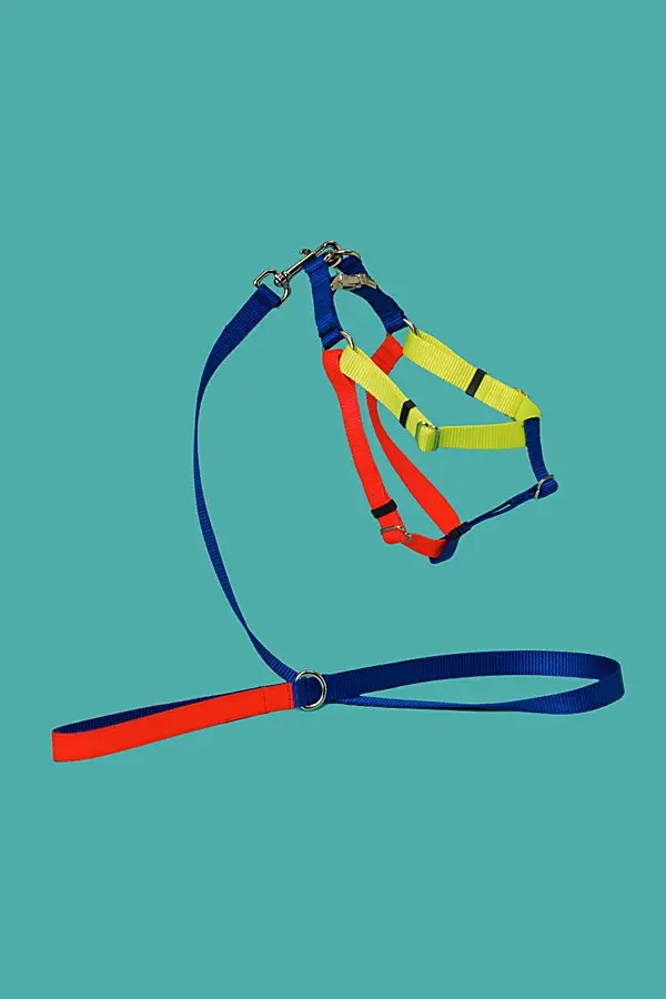 WARE OF THE DOG Nylon Colorblock Dog Harness - Blue/orange/yellow