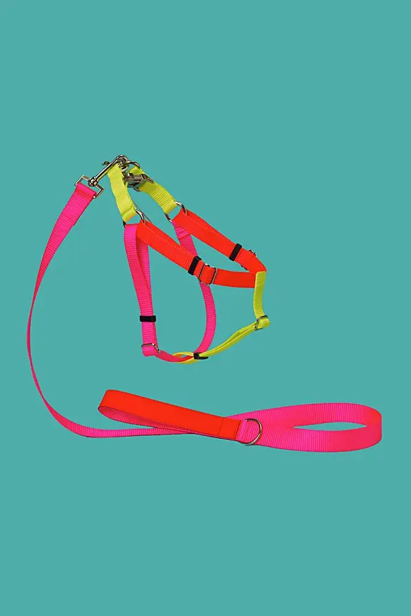 WARE OF THE DOG Nylon Colorblock Dog Harness - Pink/orange/yellow