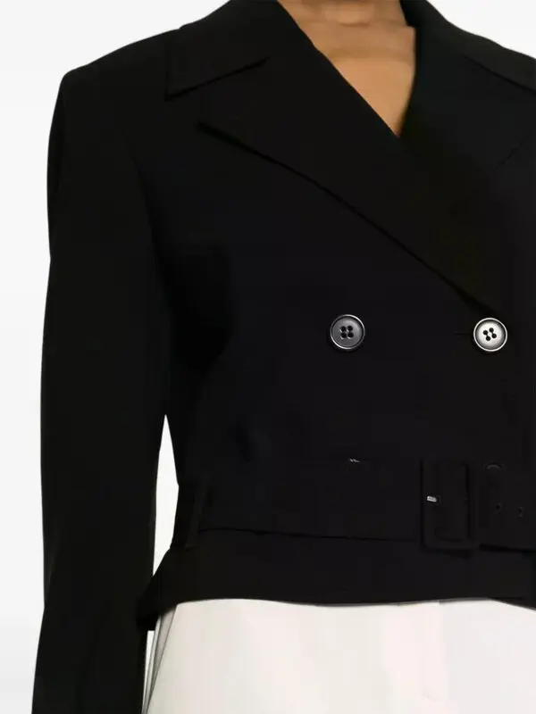 Theory Double-breasted Cropped Jacket