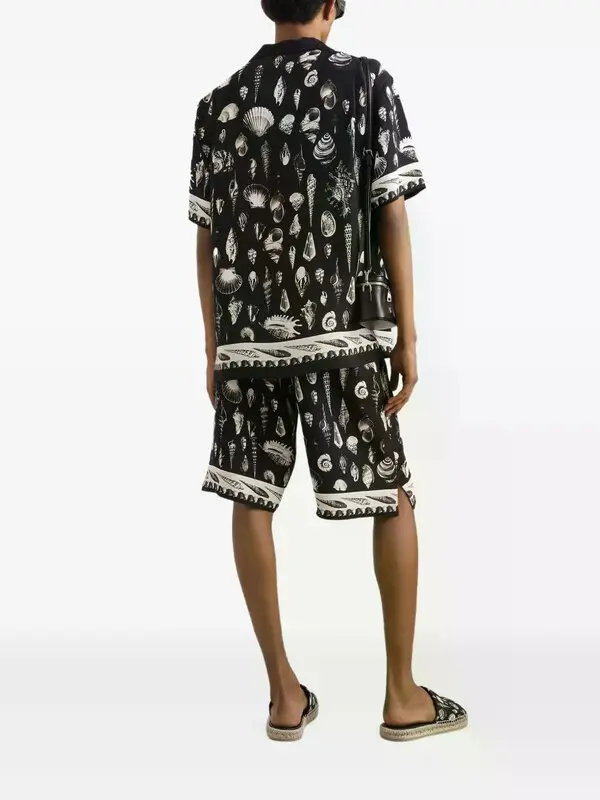 Dolce & Gabbana Seashell-print Drawstring Shorts - Black