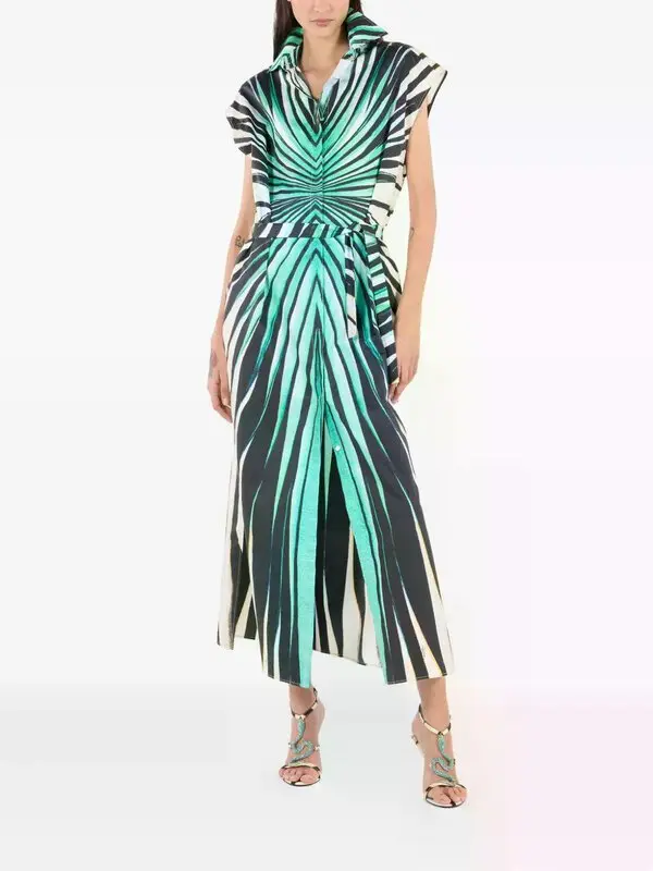 Roberto Cavalli Printed Midi Dress