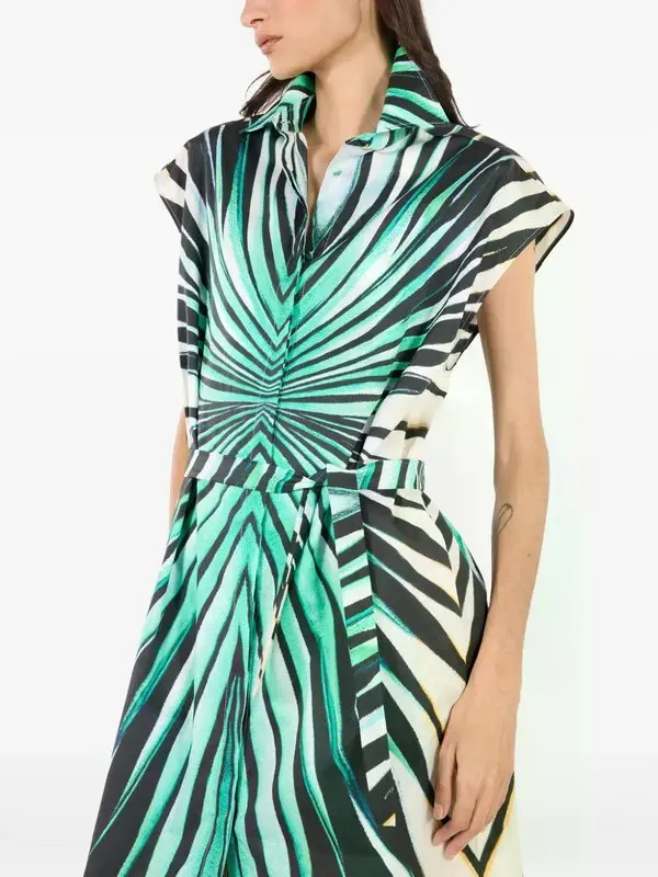 Roberto Cavalli Printed Midi Dress