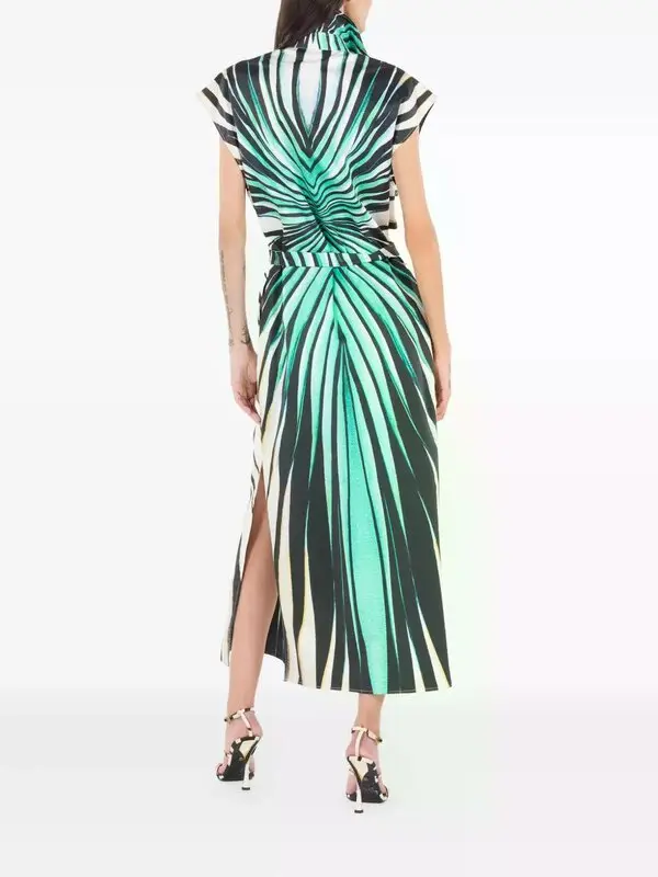 Roberto Cavalli Printed Midi Dress