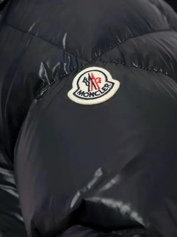 Moncler Erea Hooded Quilted Jacket