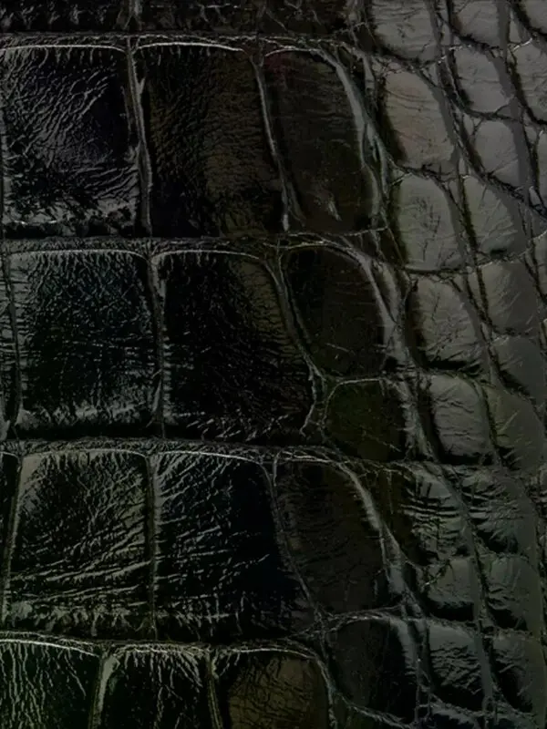 Roberto Cavalli Crocodile-effect Leather Knee-high Boots