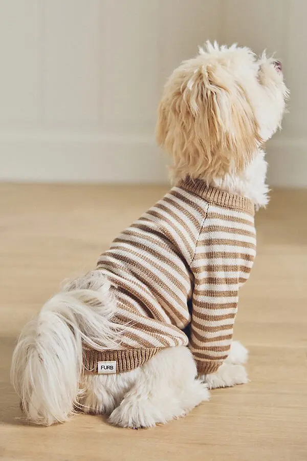 FURB Striped Pet Sweater - Camel Stripe