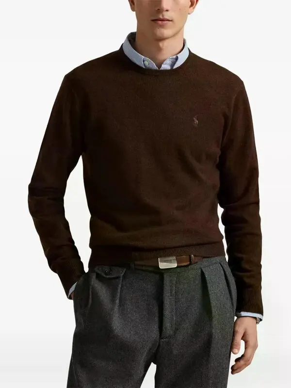Polo Ralph Lauren Crew-neck Knit Sweater - Brown
