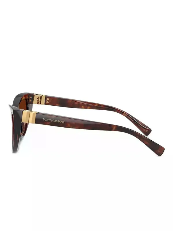 Dolce & Gabbana Cat-eye Acetate Sunglasses
