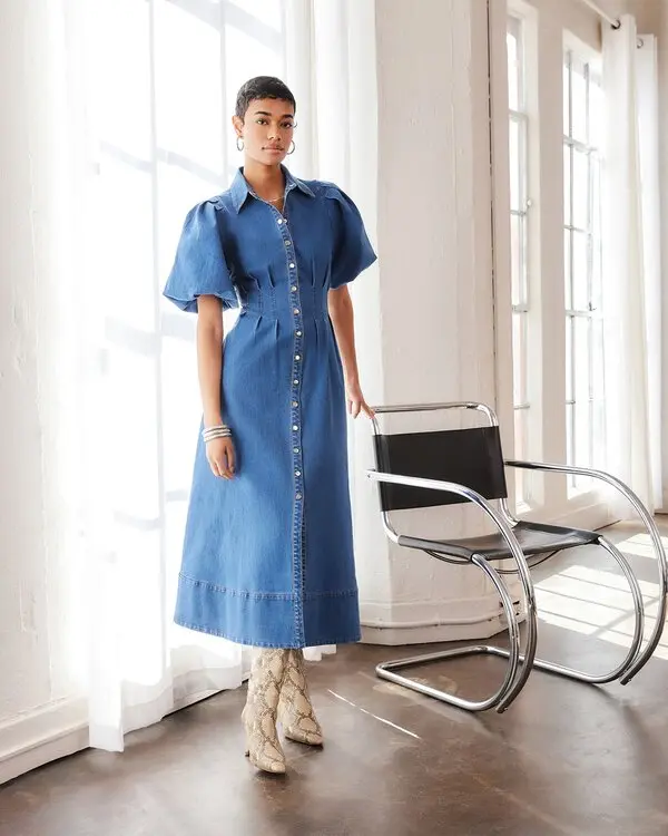 esme shirt dress Fifteen Twenty Esme Midi Shirt Dress- Denim 6
