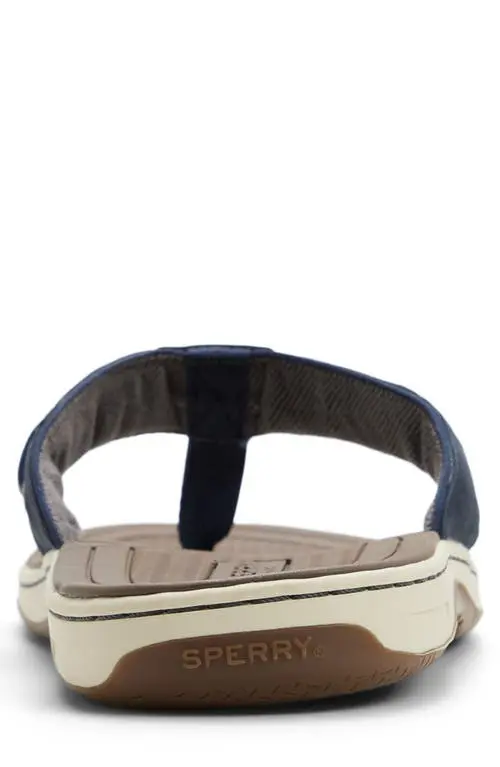 Sperry Baitfish Flip Flop - Navy
