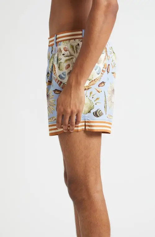 Dolce & Gabbana Shell Print Swim Trunks