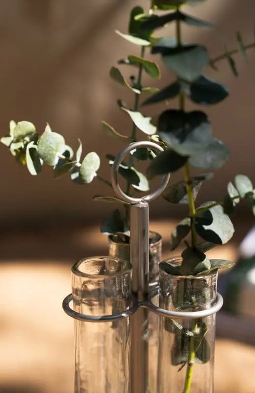 THE COLLECTIVE HOME Floral Trio Table Vase