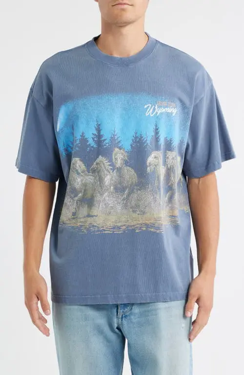 ID SUPPLY CO Wild Lands Graphic T-shirt - Washed Navy