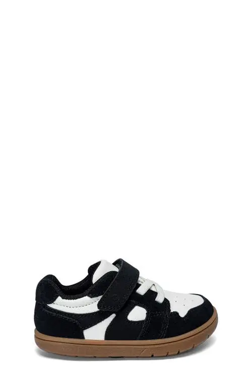 STRIDE RITE Leather Sneakers - Black/white