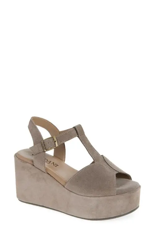 Cordani Jaycee Platform Sandal - Porcinio Suede