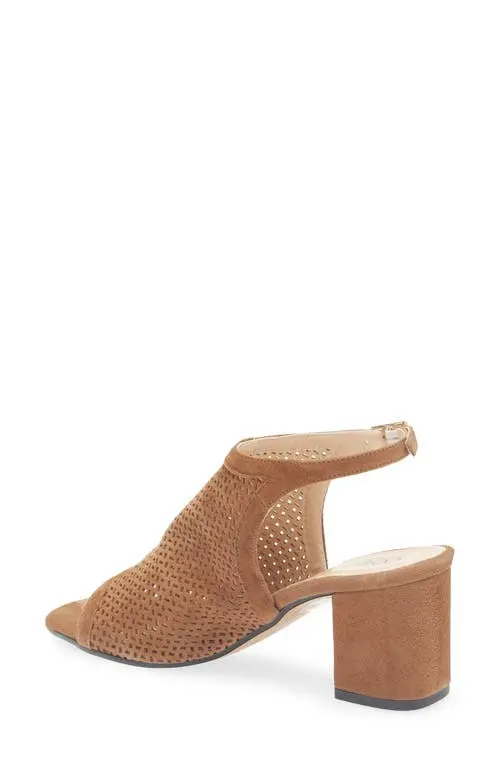Cordani Illia Ankle Strap Sandal - Cuoio Suede