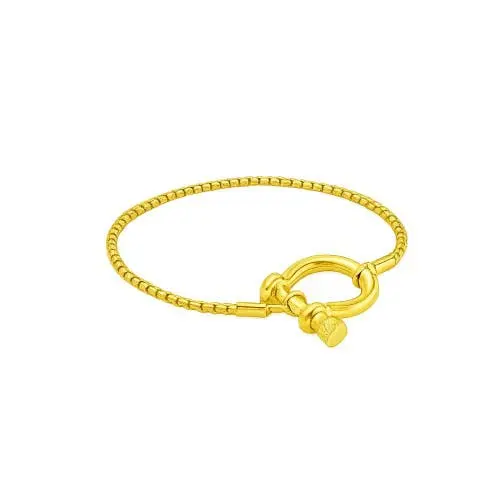 HOLLYWOOD SENSATION Horseshoe Carabiner Clasp Bracelet - Gold