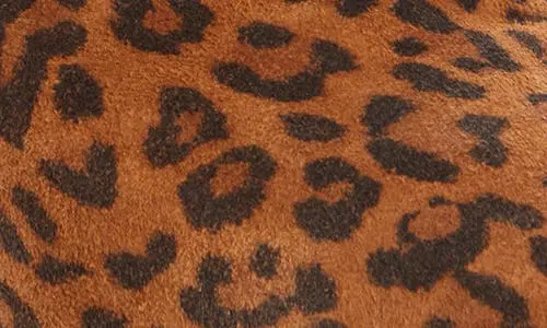 Isabel Marant Dalby Printed Leather Boot - Leopard