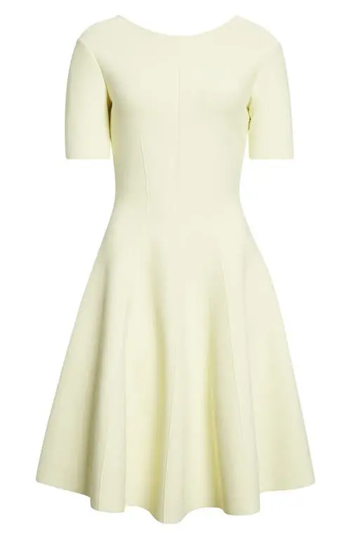 Alexander McQueen Jersey Fit & Flare Dress - Pear