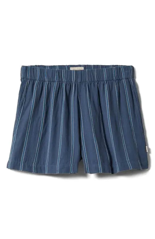 Brixton Wandering Stripe Cotton Shorts