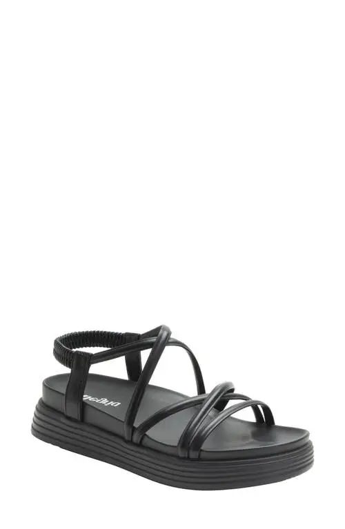 ALEGRIA BY PG LITE Audie Platform Sandal - Caviar