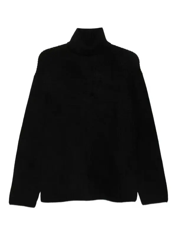 P.a.r.o.s.h Lady Blum Roll-neck Wool Sweater