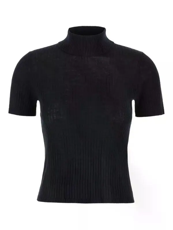 Max Mara Ribbed Turtleneck T-shirt