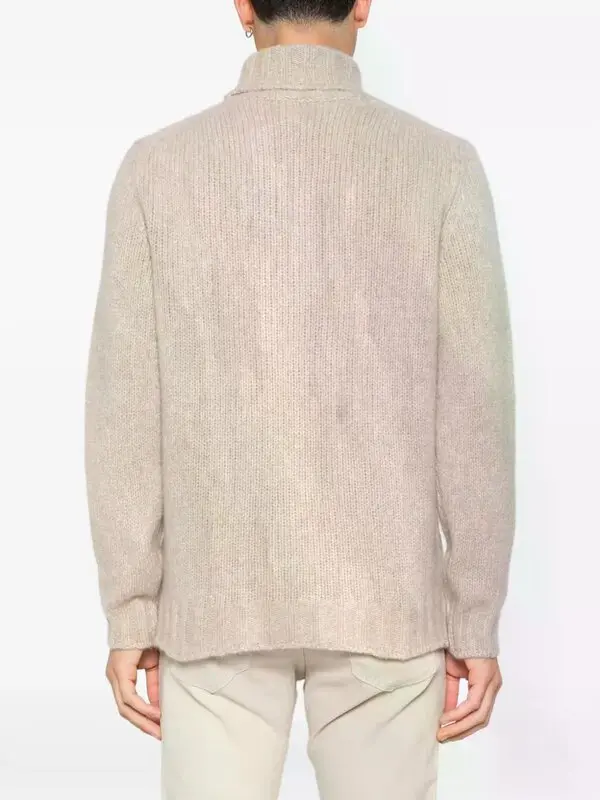 Fedeli Turtleneck Sweater