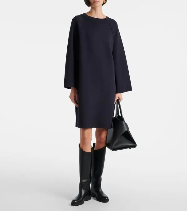Max Mara Luisa Mini Dress