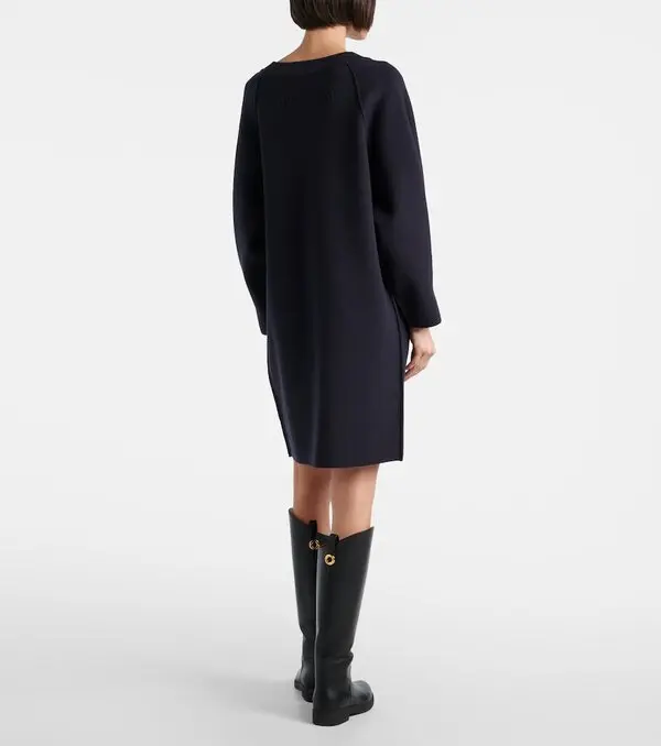 Max Mara Luisa Mini Dress