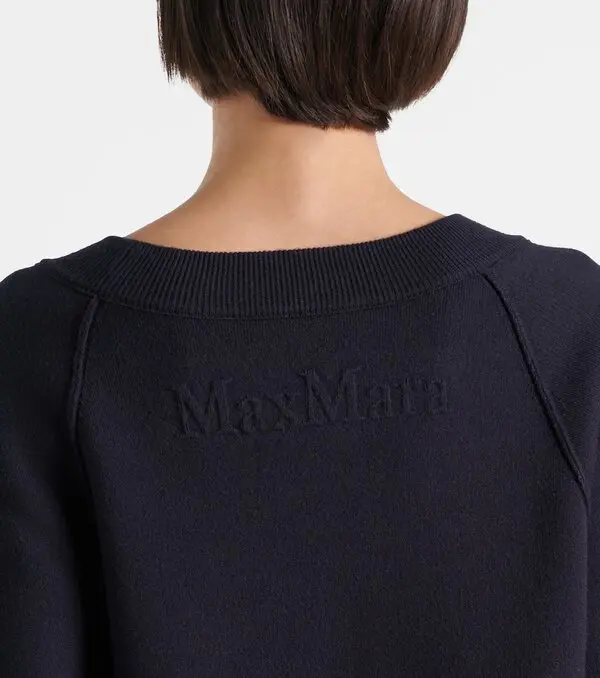 Max Mara Luisa Mini Dress