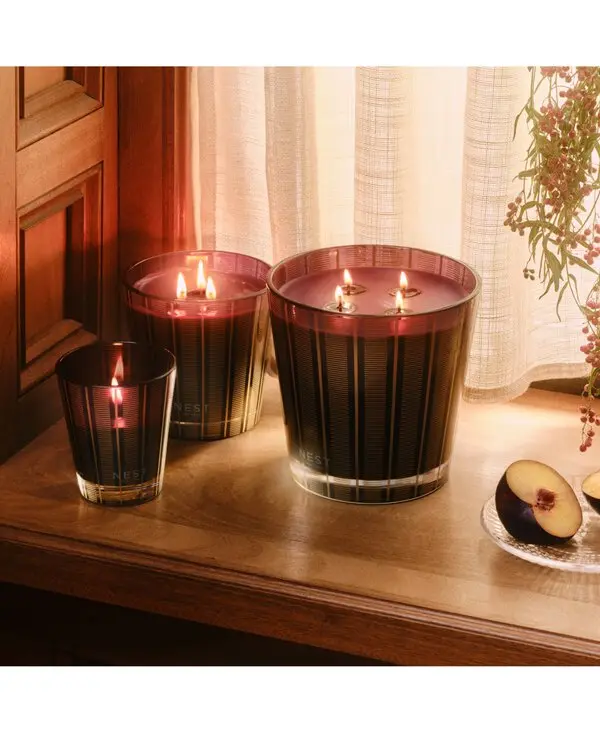 NEST NEW YORK Autumn Plum 3 Wick Candle
