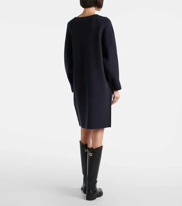 Max Mara Luisa Minidress